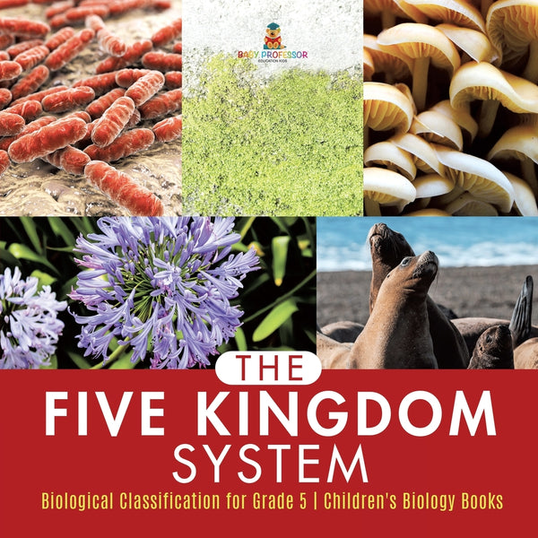 The Five Kingdom System | Biological Classification for Grade 5 ...