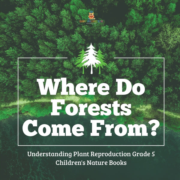Where Do Forests Come From? | Understanding Plant Reproduction Grade 5 ...