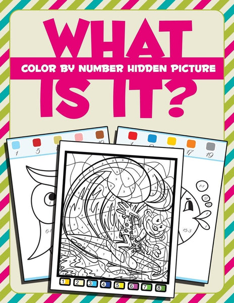 What Is It?: Color By Number Hidden Picture – Speedy Publishing LLC