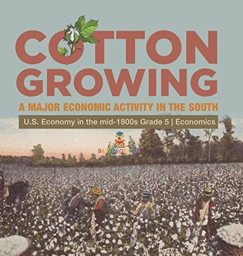 Cotton Growing: A Major Economic Activity in the South U.S. Economy in ...