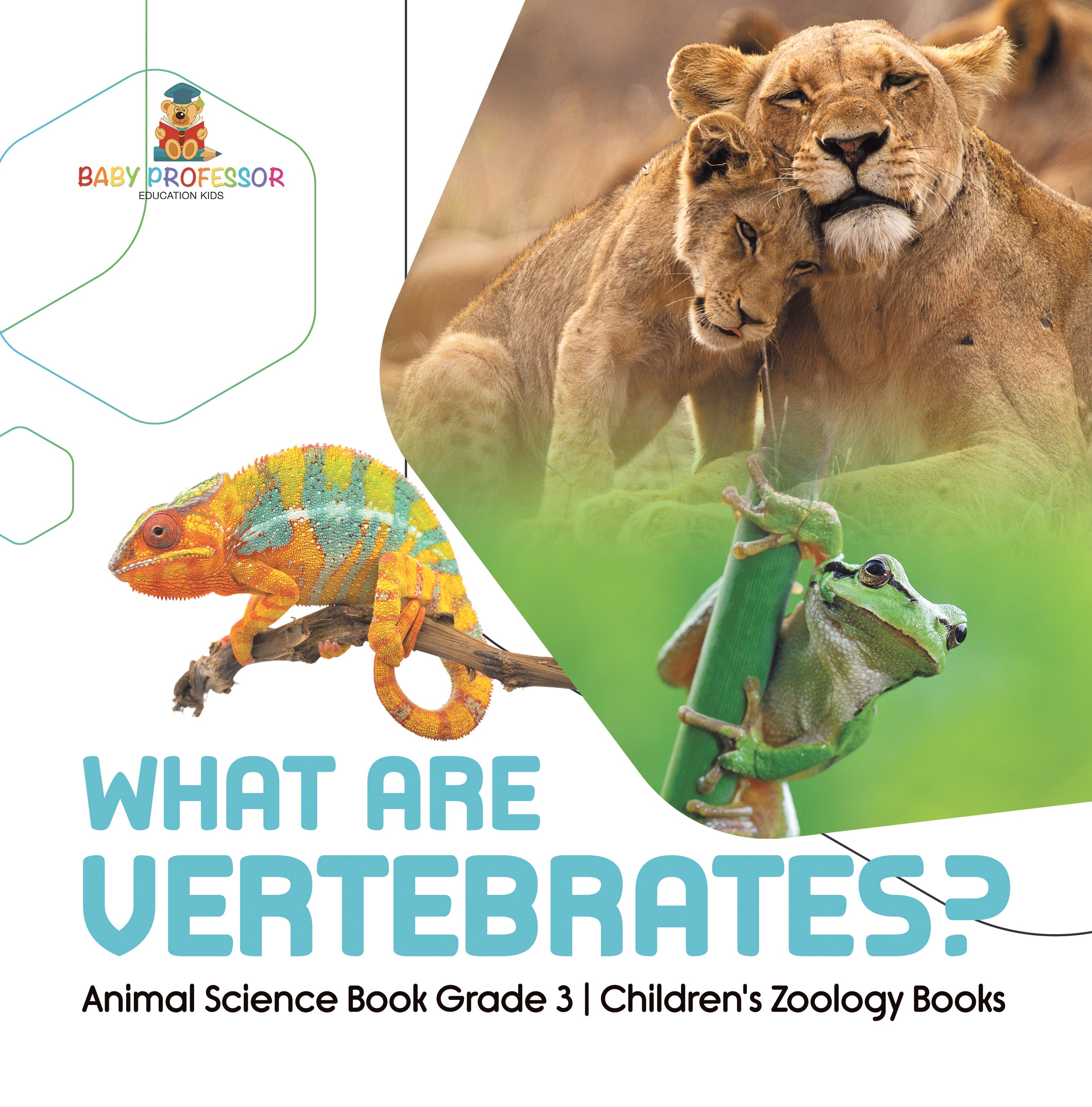What Are Vertebrates? | Animal Science Book Grade 3 | Children’s ...