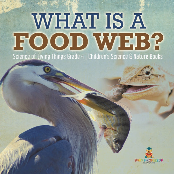 What is a Food Web? | Science of Living Things Grade 4 | Children's ...
